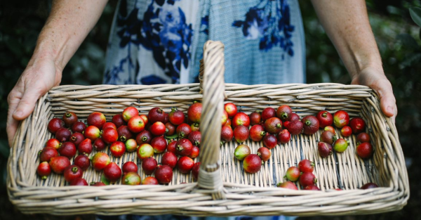 Central Coast Makers Trail: A food lover's day trip to the Central ...