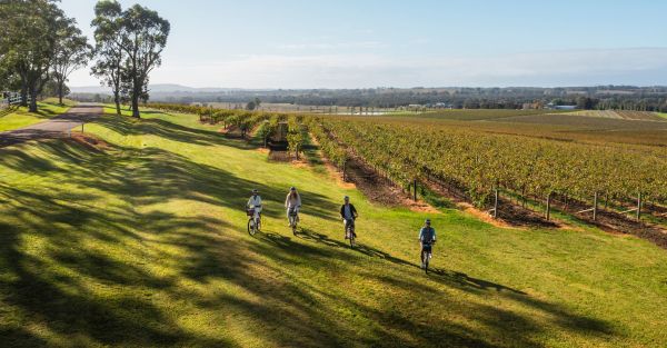 Top Hunter Valley wine tours & experiences | Visit NSW