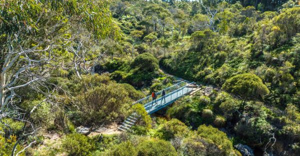 The best bushwalking trails & hikes in the Blue Mountains | Visit NSW