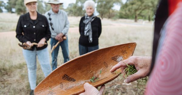 7 of the best Aboriginal bush tucker tours in NSW | Visit NSW