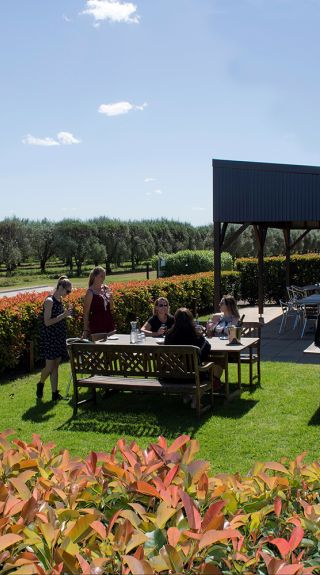 Muswellbrook NSW - Things To Do, Accommodation & Camping