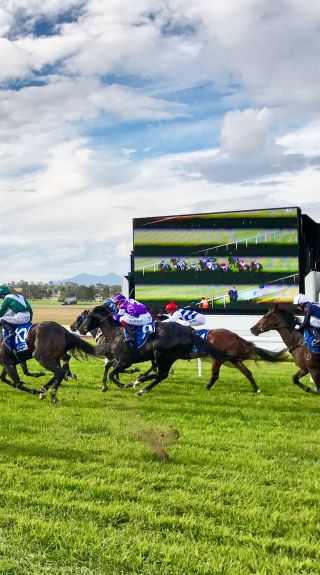 Upper Hunter – Things to do, wineries, accommodation & more | Visit NSW