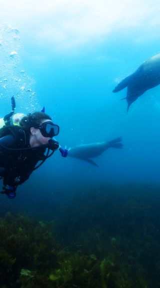 The best diving sites in NSW | Visit NSW