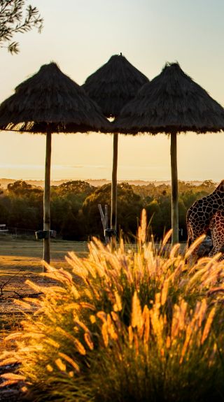 Dubbo, Country NSW - Accommodation, things to do & more | Visit NSW