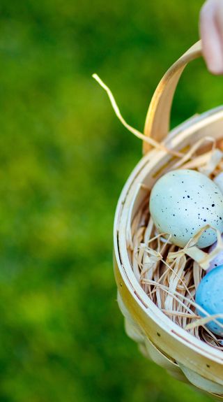 Things to do this Easter in NSW | Visit NSW