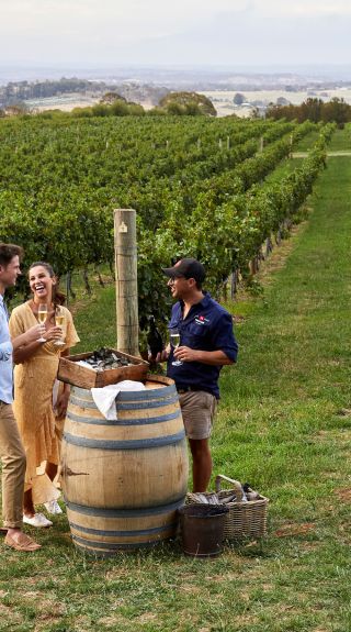 The top 12 wineries & cellar doors around Orange | Visit NSW