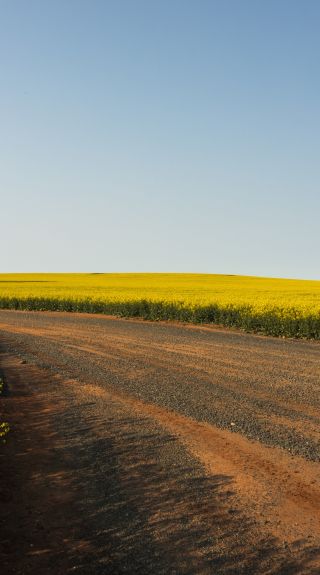 A 4-day itinerary driving the Riverina’s Canola Trail | Visit NSW
