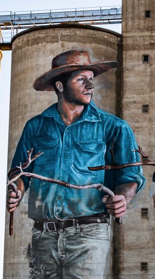 Barraba, Tamworth area – Accommodation, things to do & more | Visit NSW