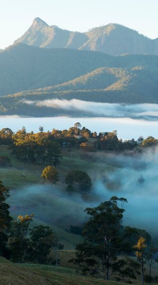 11 unmissable nature experiences in Lismore & surrounds | Visit NSW