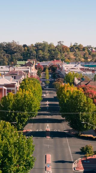 Inverell, New England - Accommodation, things to do & more | Visit NSW