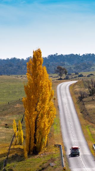 Berridale, Snowy Mountains - Accommodation, things to do & more | Visit NSW