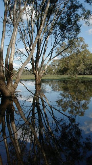 Tocumwal, The Murray - Accommodation, things to do & more | Visit NSW