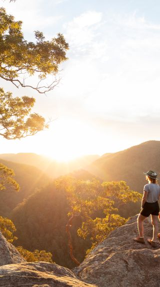 Springwood – Accommodation, things to do & more | Visit NSW