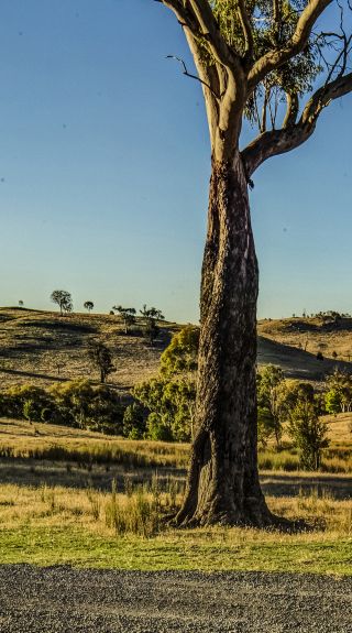 Batlow, Snowy Valleys - Accommodation, things to do & more | Visit NSW