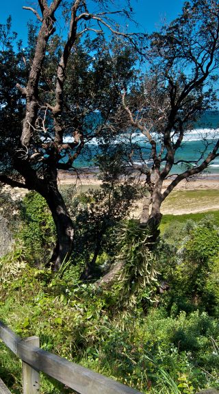 Bateau Bay, Central Coast - Accommodation, things to do & more | Visit NSW