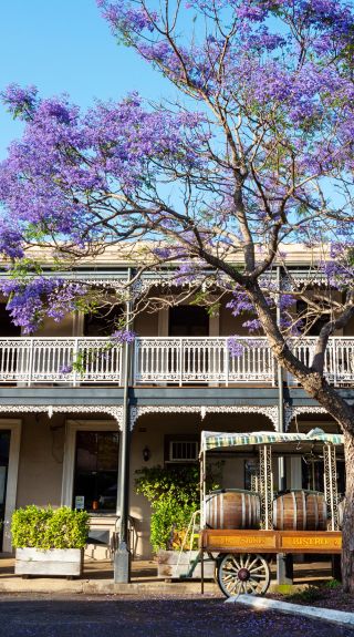 Grafton, Clarence Valley – Accommodation, things to do & more | Visit NSW