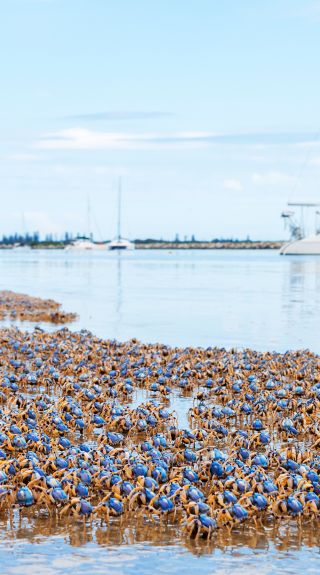 Iluka, Clarence Valley – Accommodation, things to do & more | Visit NSW