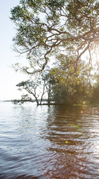 Bulahdelah - Accommodation, things to do & more | Visit NSW