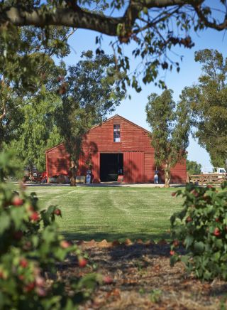 The Murray: Go beyond the river - Itineraries, town guides & more ...