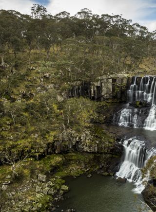 Bellingen, Coffs Coast - Accommodation, things to do & more | Visit NSW
