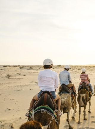 Dubbo, Country NSW - Accommodation, things to do & more | Visit NSW