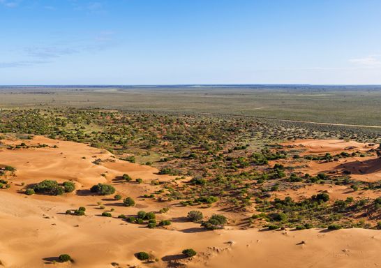 Tee off in The Murray | NSW Holidays & Accommodation, Things to Do ...