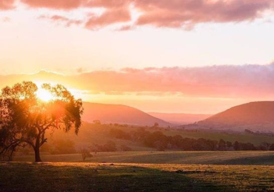 Harden, The Hilltops – Accommodation, things to do & more | Visit NSW